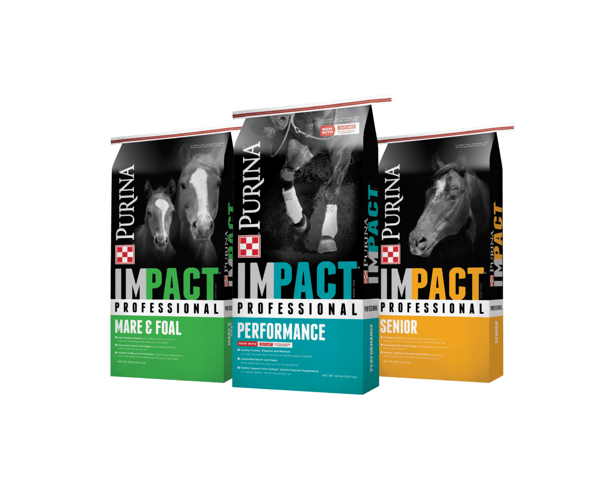 Try Purina Impact Professional - China Spring Country Store