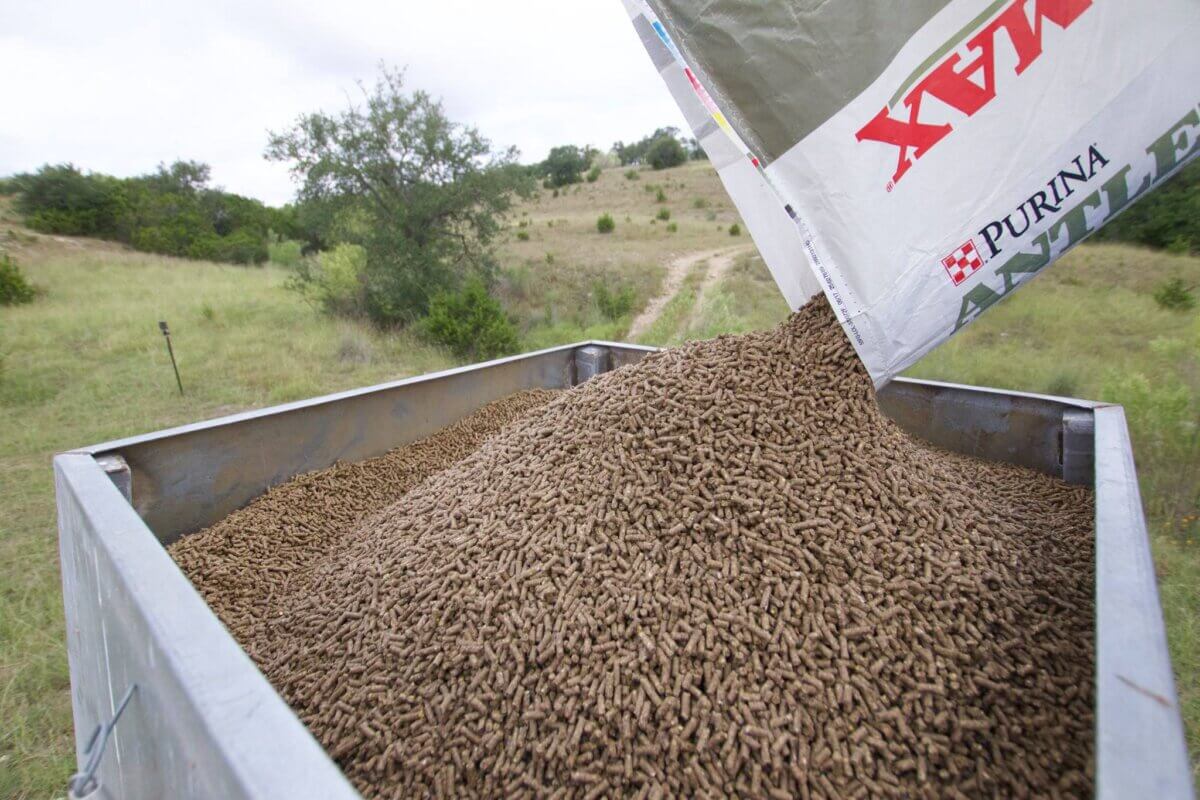 Now is The Time: Feed AntlerMax Deer Protein - China Spring Country Store