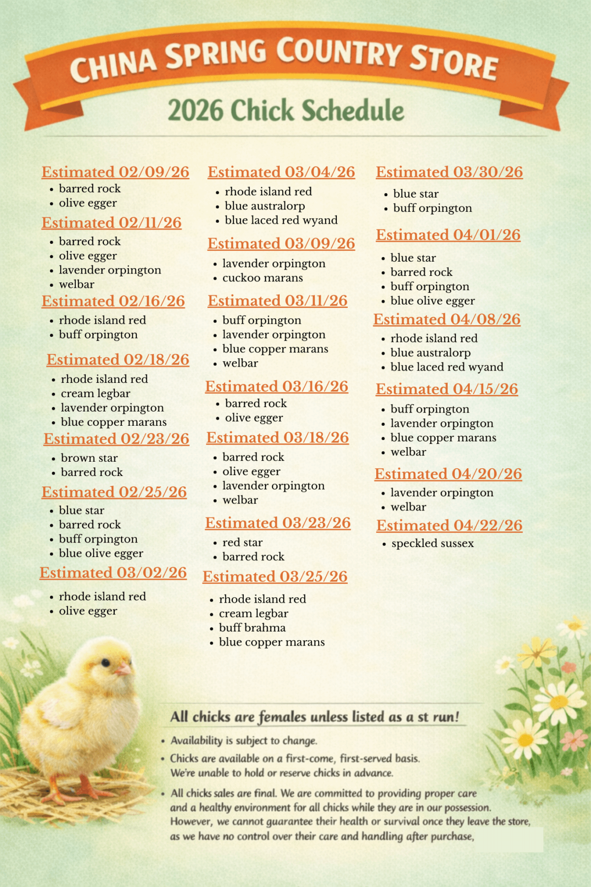 2026 Spring Chick Deliveries - China Spring Country Store